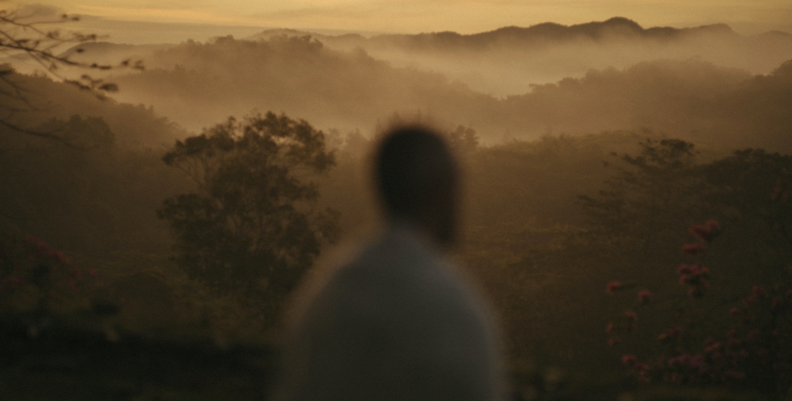 Psychedelic Quests—What’s the big idea? - Design Hotels™