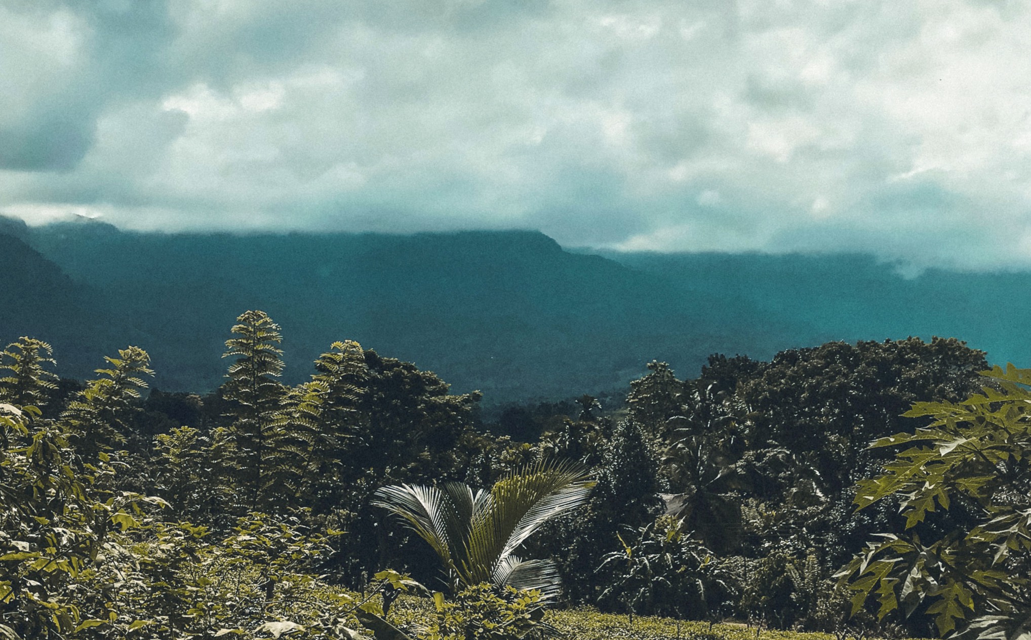 Nature’s Kiss From Basium - Design Hotels™