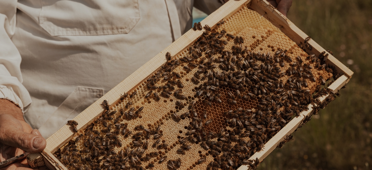 Best Sustainable Boutique & Luxury Hotels (2026) - Design Hotels™