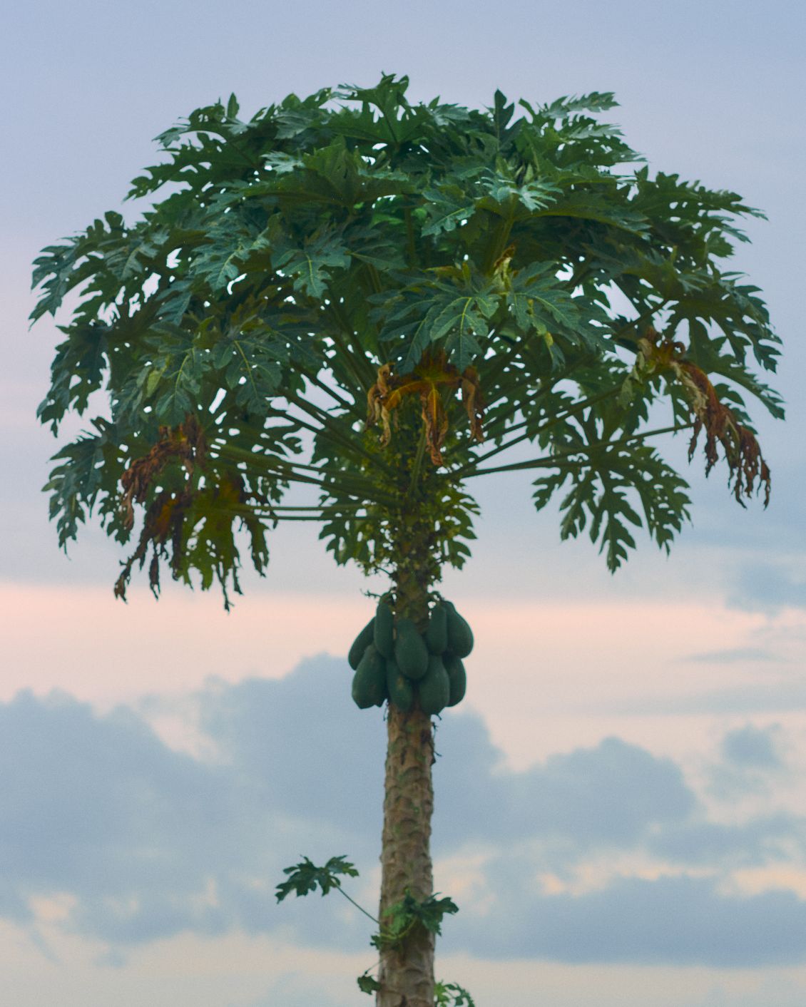 Discover Lombok's natural landscapes - Design Hotels™