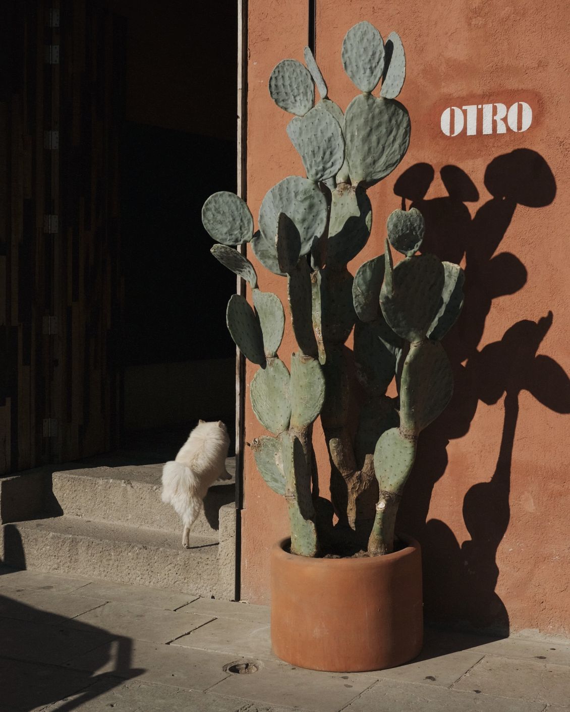 From city to coast, culture to nature—a love letter to Oaxaca - Design ...