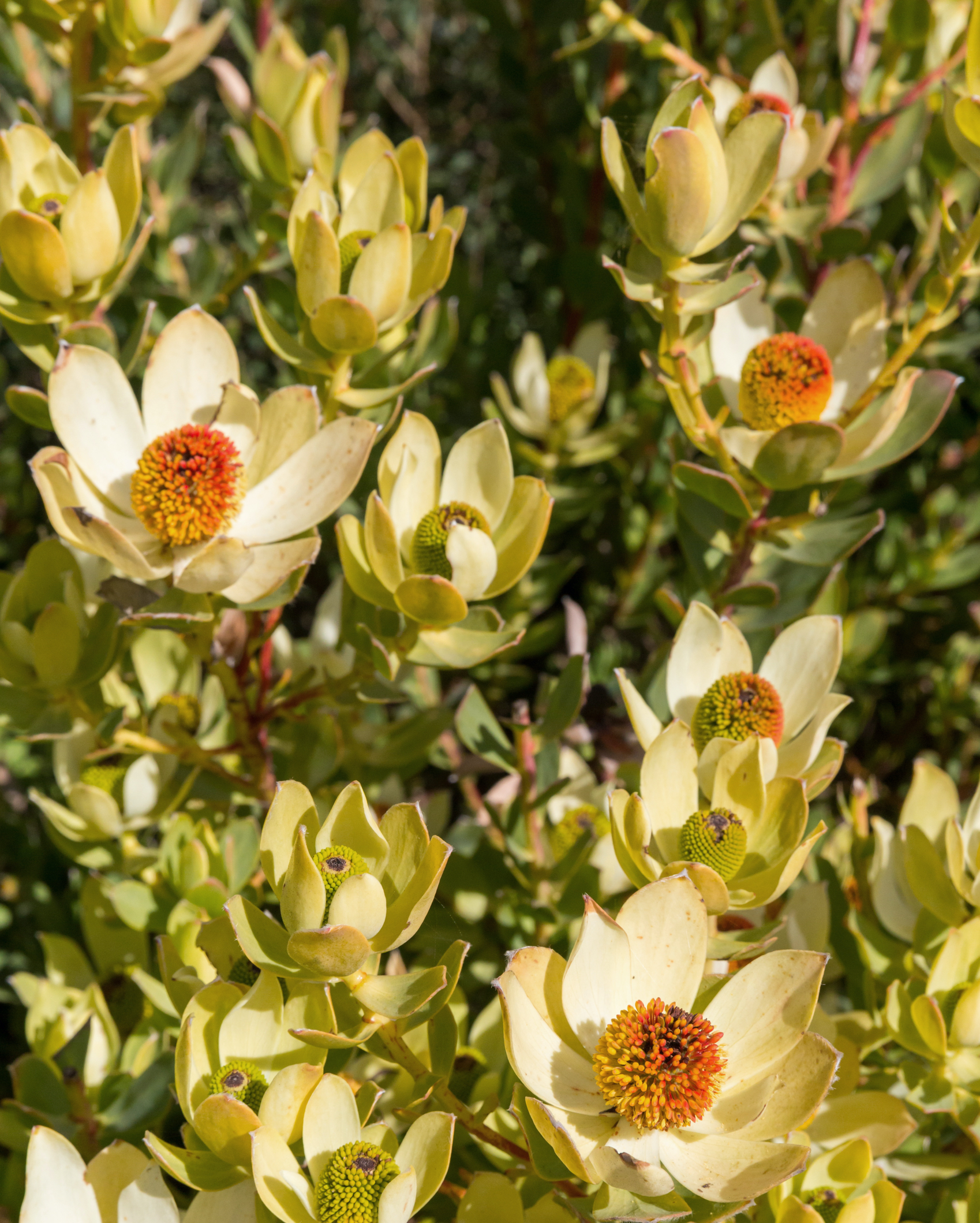 Discover the U.S West Coast sceneries - Design Hotels™