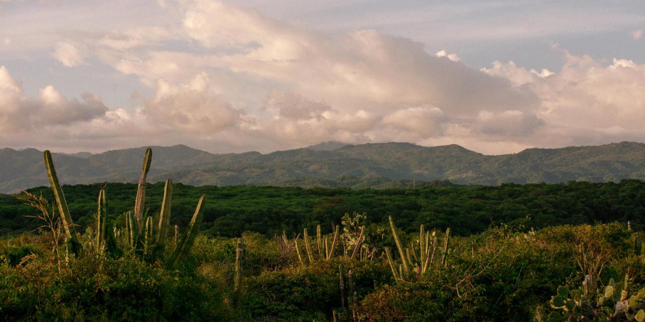 The Hidden Port - Design Hotels™