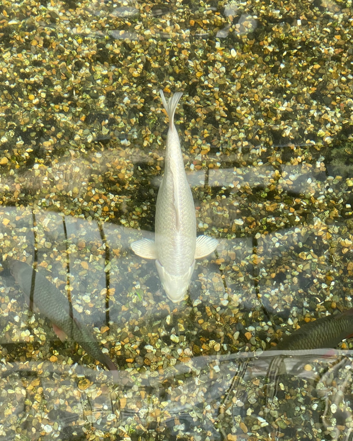 Discover the corners of London - Design Hotels™