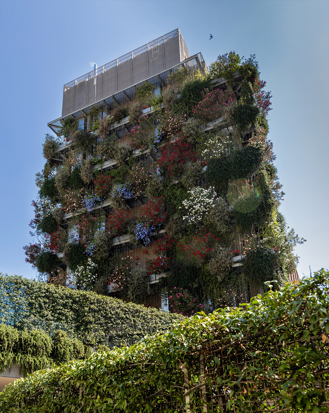 Marriott Bonvoy - Design Hotels™