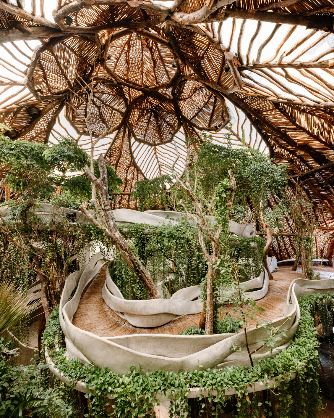 Biophilic Design The Rise Of Biophilic Design: How Nature Inspired