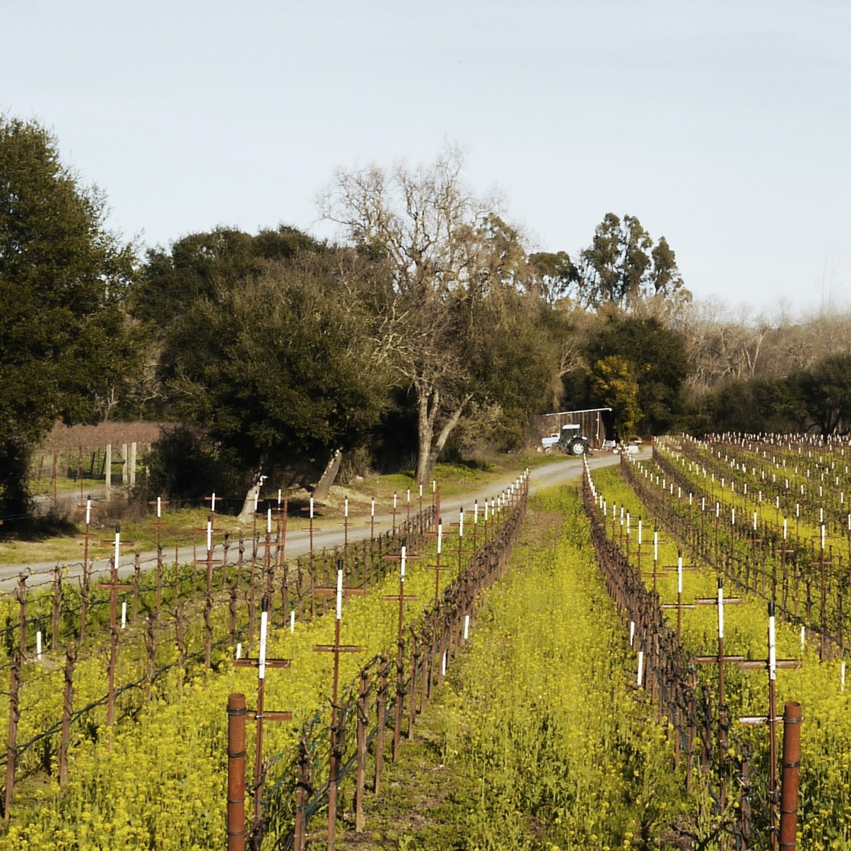 Discover the U.S West Coast sceneries - Design Hotels™