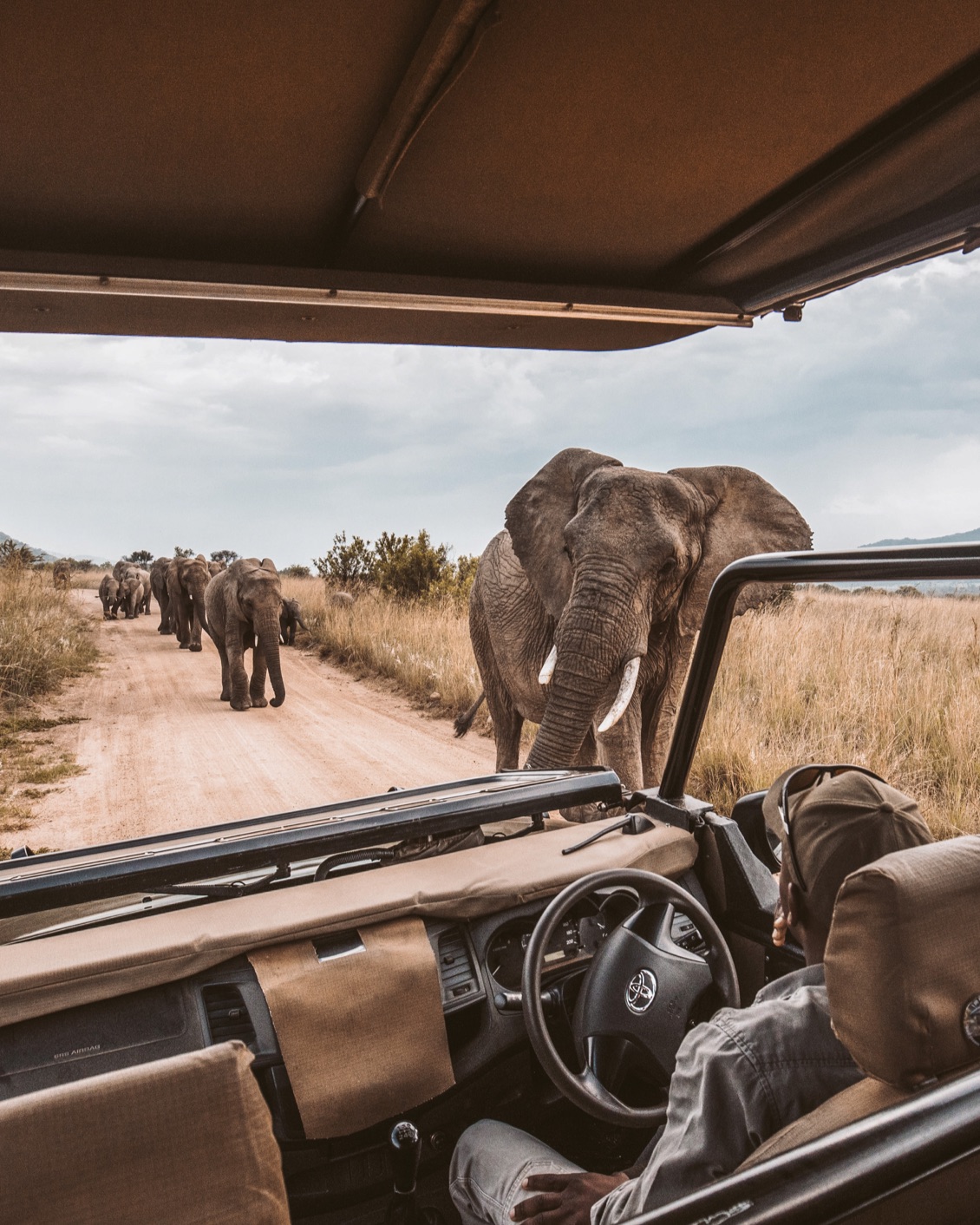 Ethical Ecotourism: What to Engage With and What to Avoid - Design Hotels™