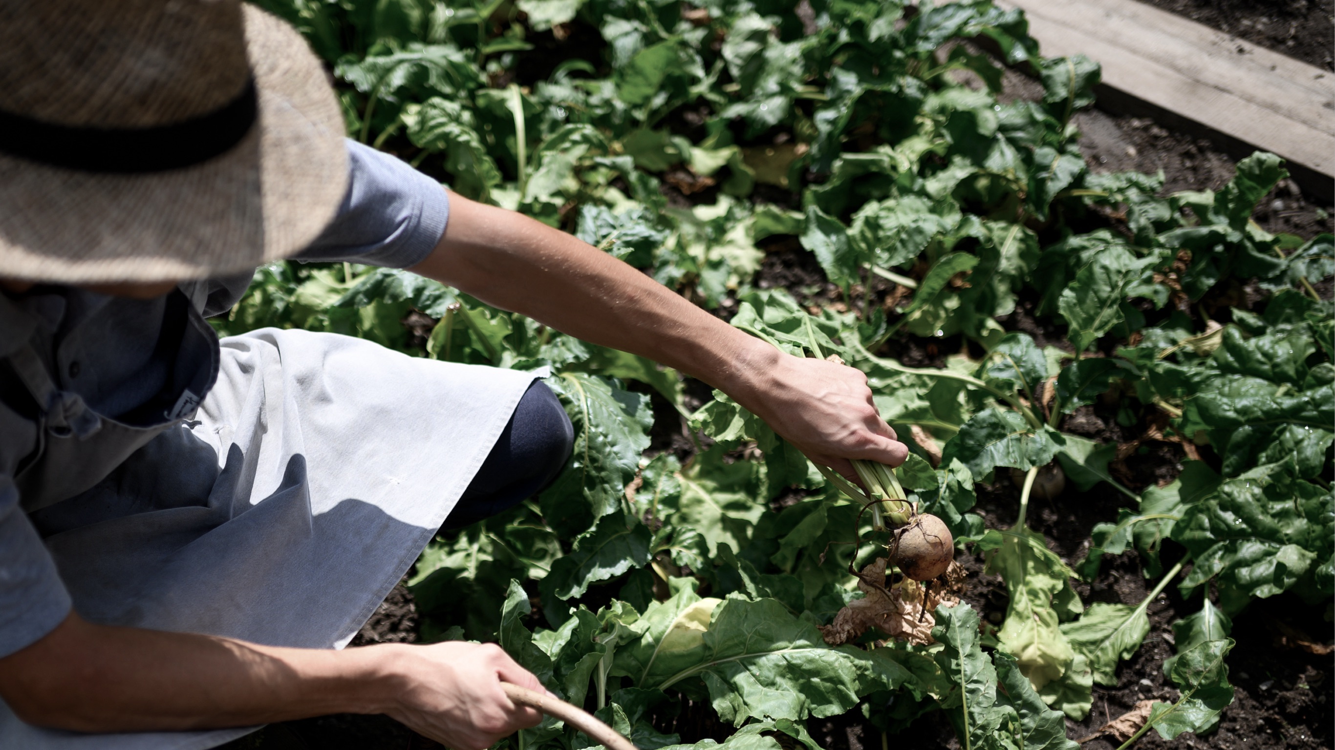 Food - Design Hotels™