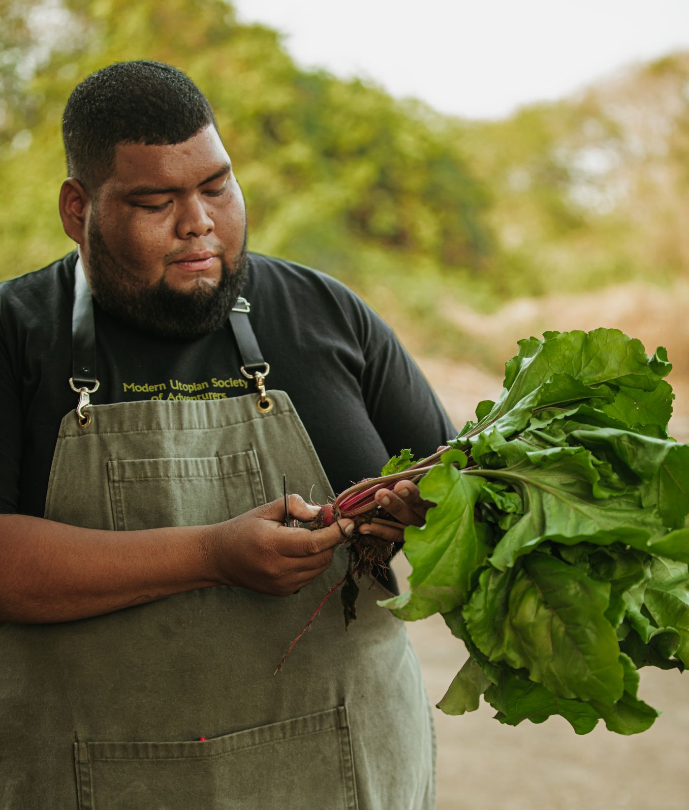 Hotelito at MUSA (Guerrero) - Best Rates - Book Now - Design Hotels™