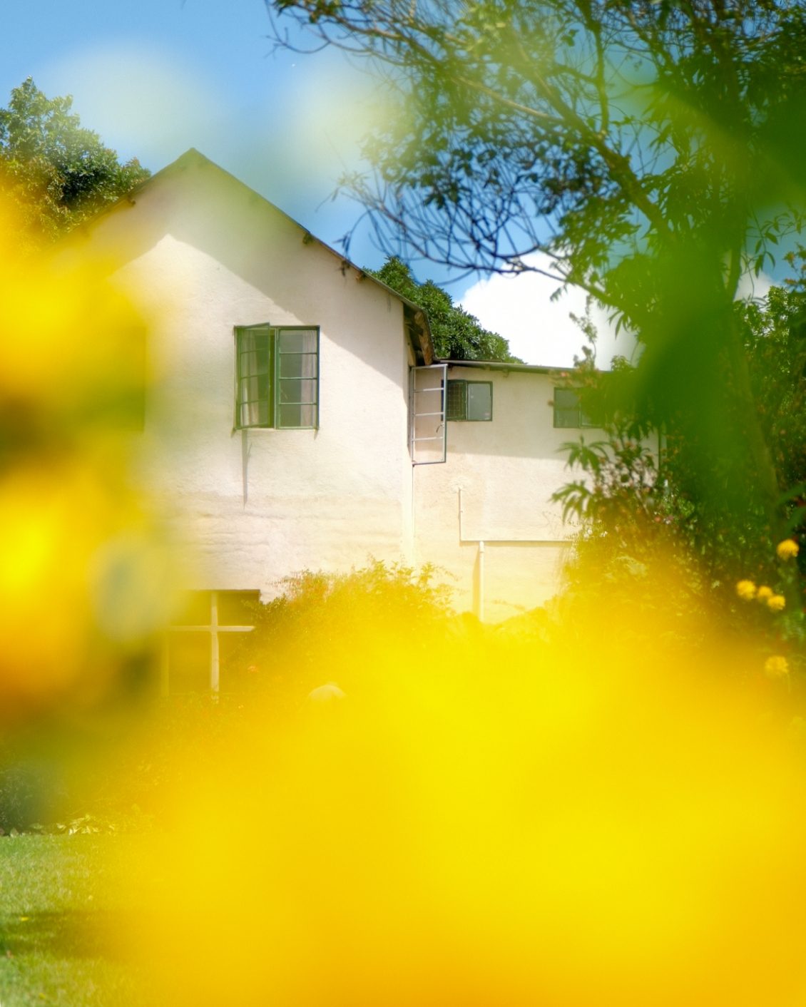 Shamim Ehsani - Design Hotels™