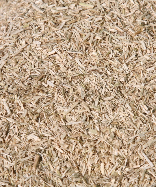 Will Biomaterials Build Our Future? - Design Hotels™