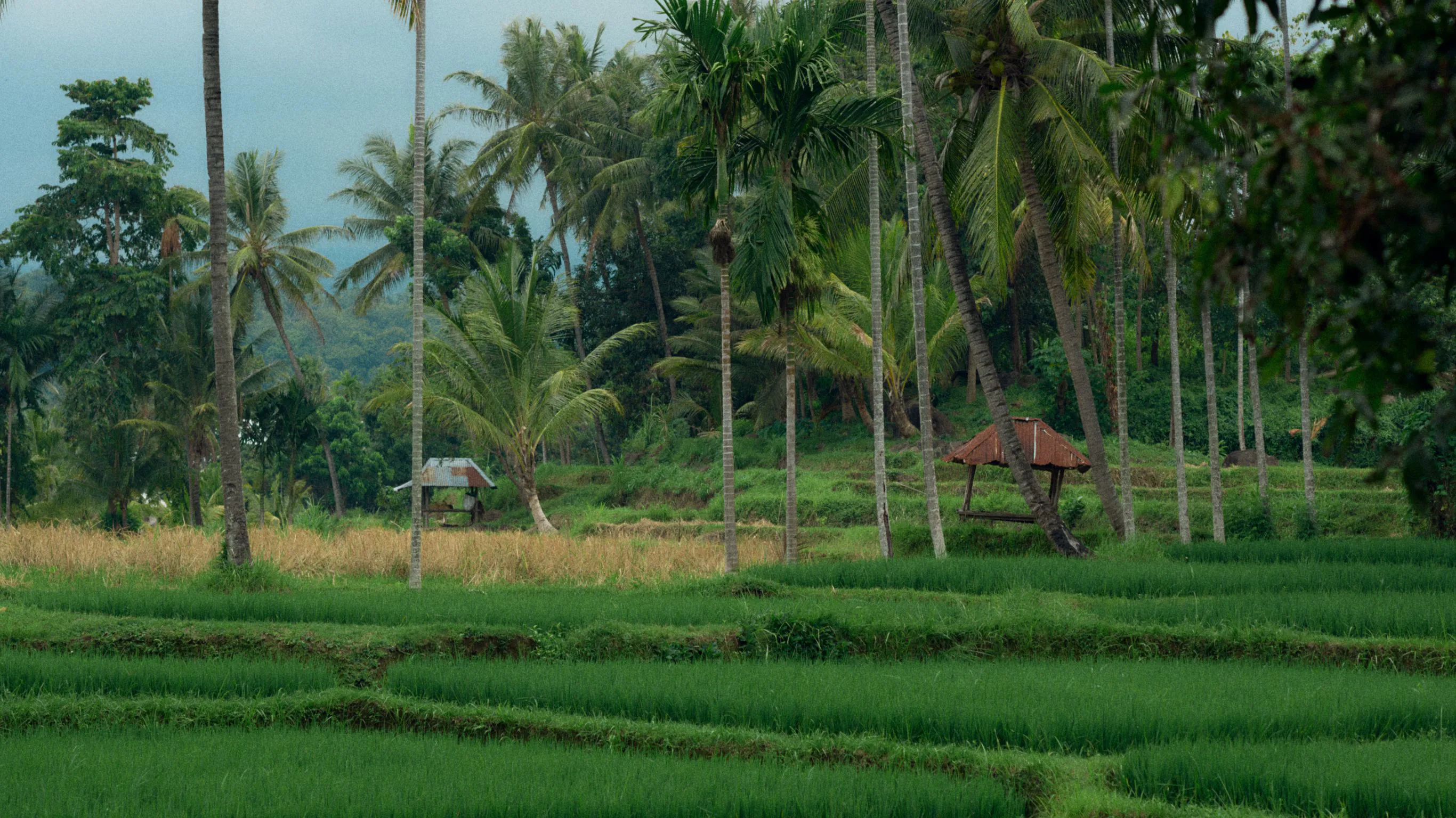 Lombok - Design Hotels™