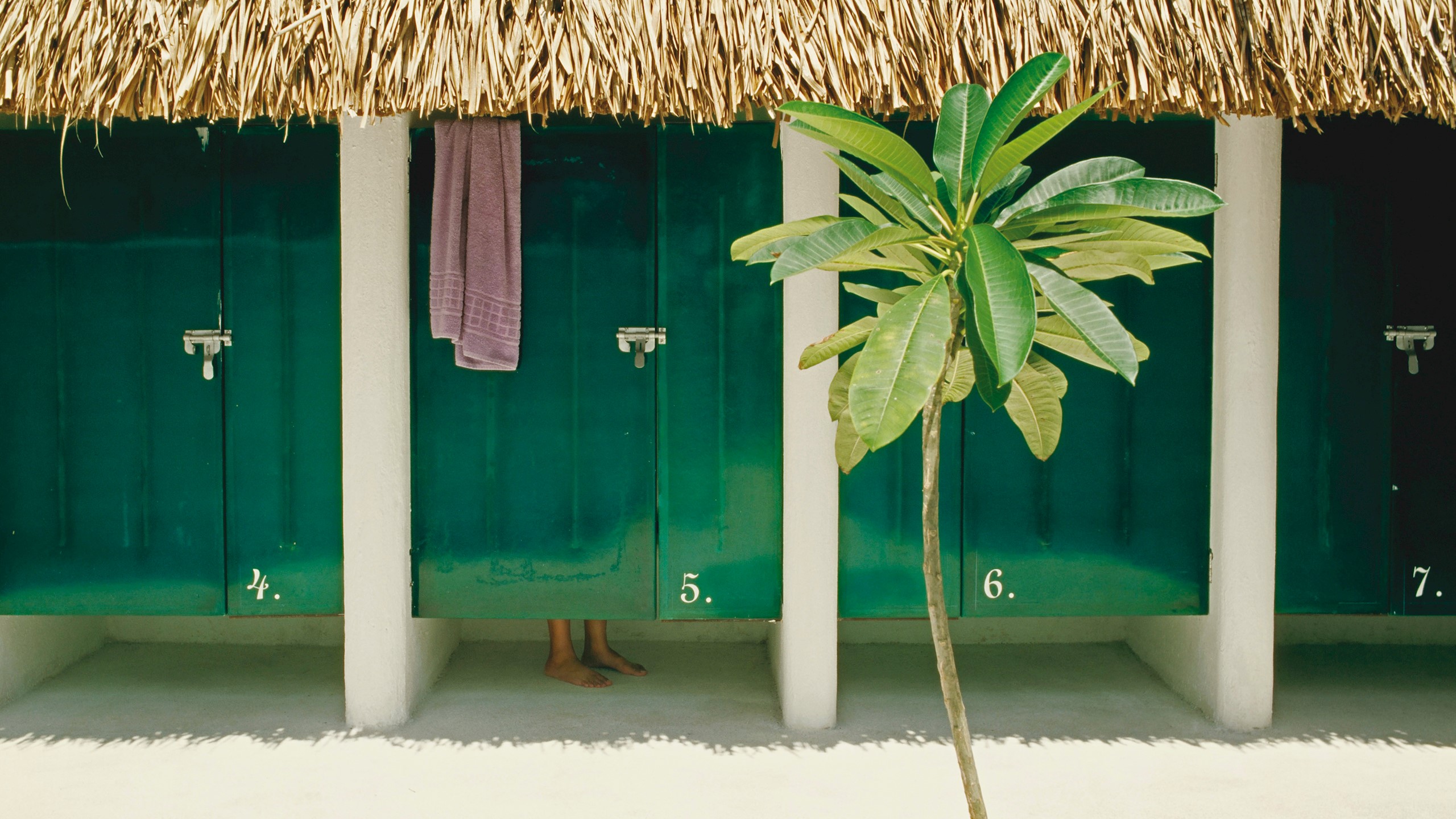 Azucar (Monte Gordo, Veracruz, Mexico) - Design Hotels™