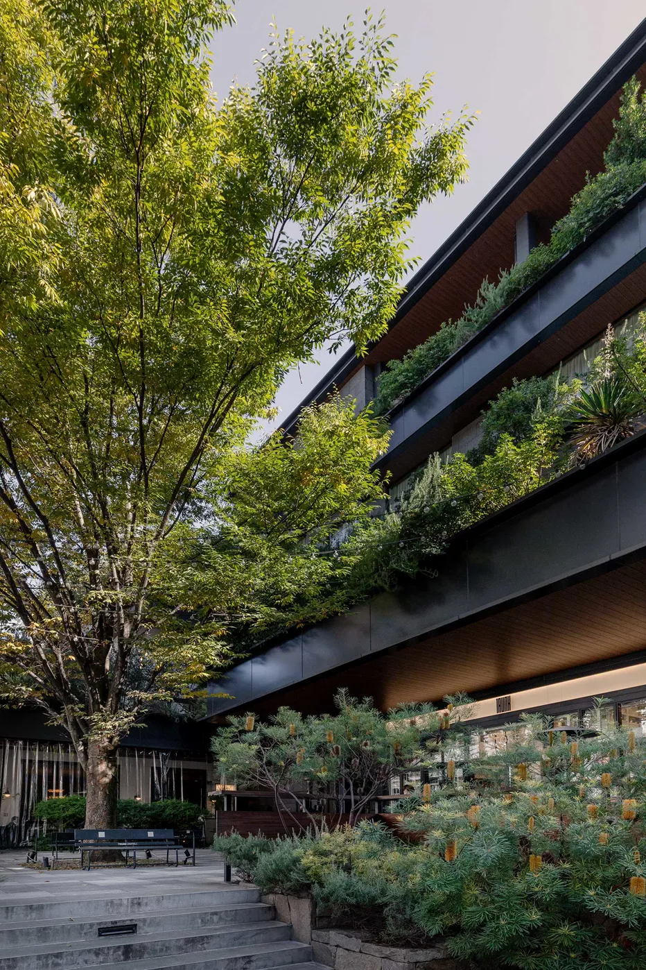 Photo gallery of Trunk Hotel Cat Street in Tokyo - Design Hotels™