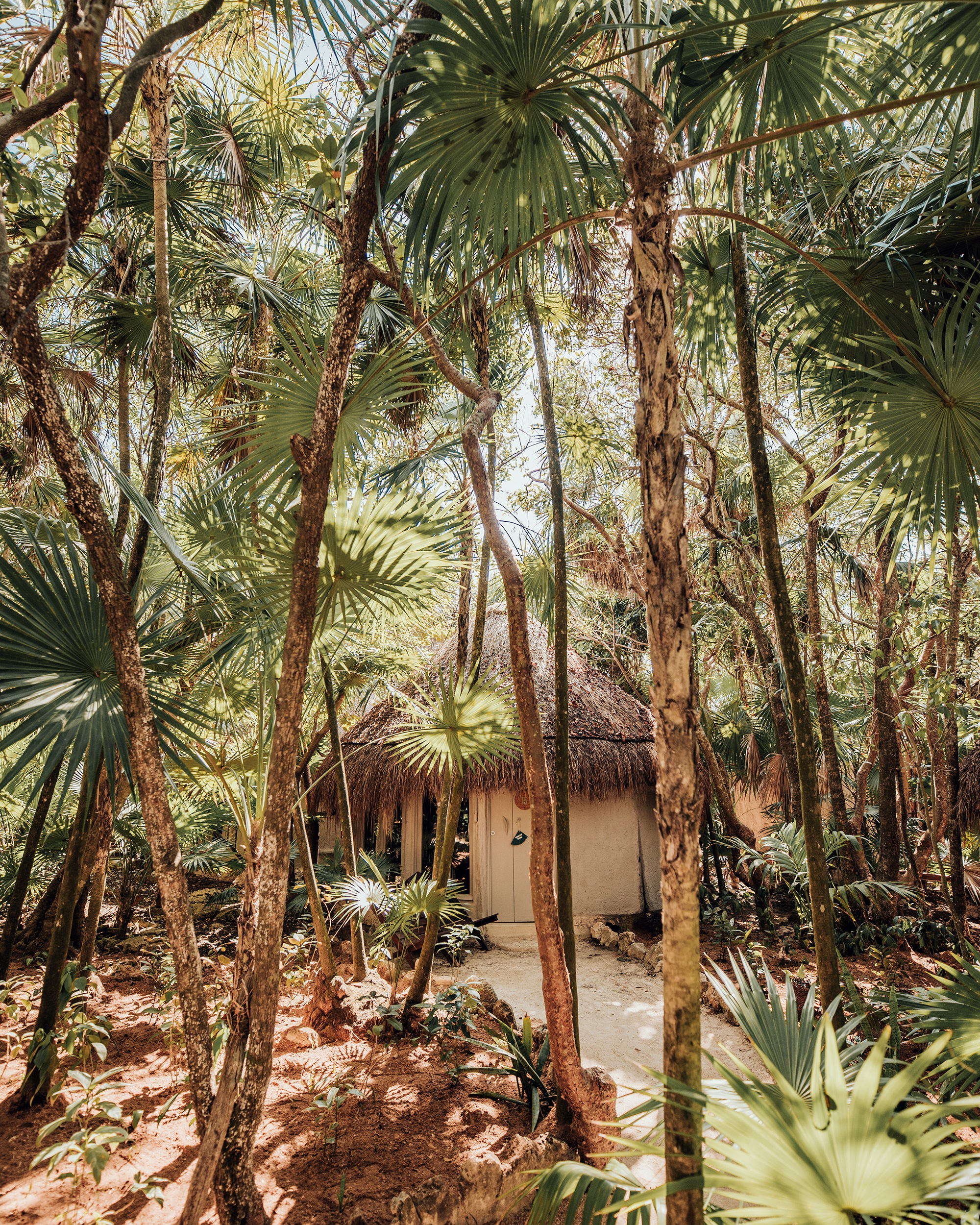 Photo gallery of Papaya Playa Project in Tulum - Design Hotels™