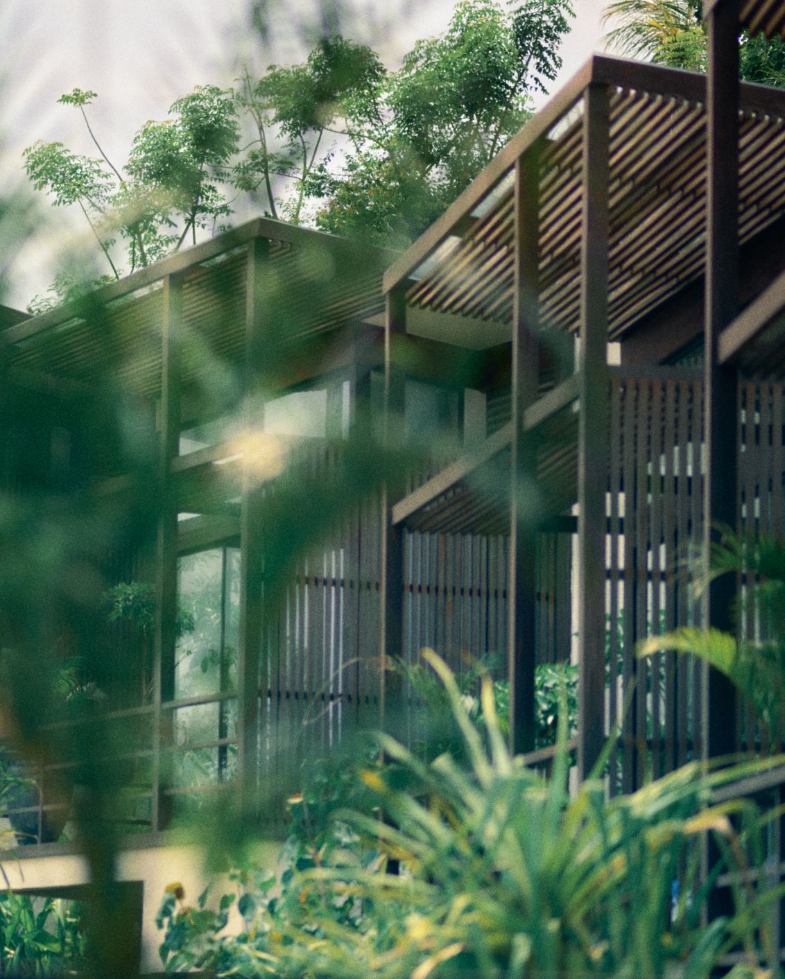 Discover Lombok's natural landscapes - Design Hotels™