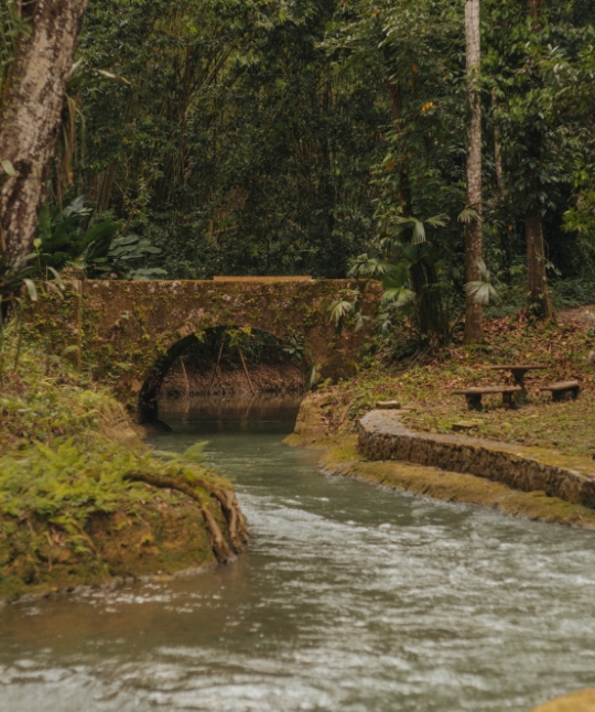 Psychedelic Quests—What’s the big idea? - Design Hotels™