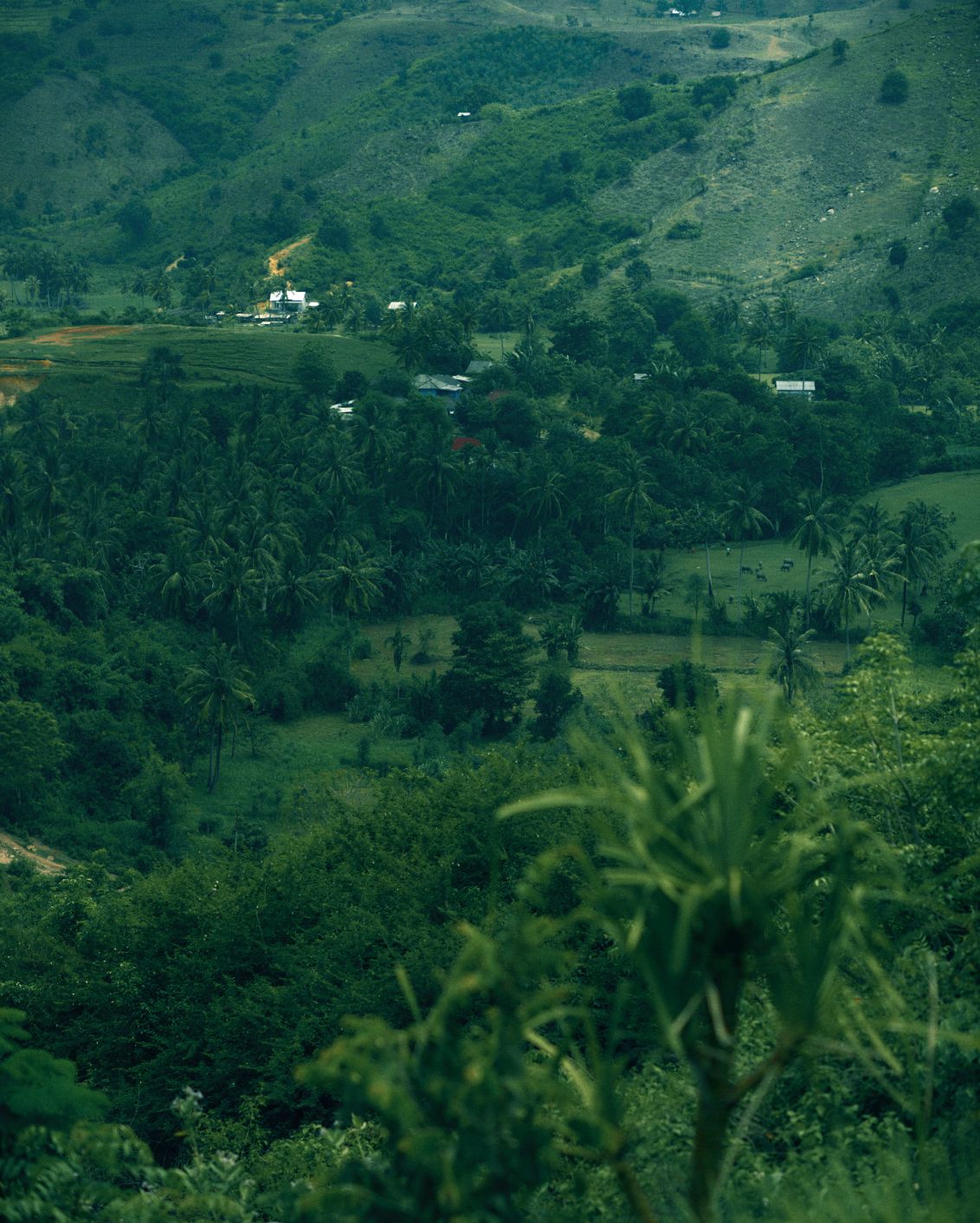 Discover Lombok's natural landscapes - Design Hotels™
