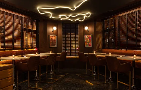 Photo gallery of The Robey in Chicago - Design Hotels™