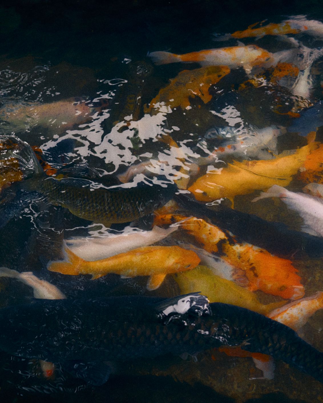 Discover Lombok's natural landscapes - Design Hotels™