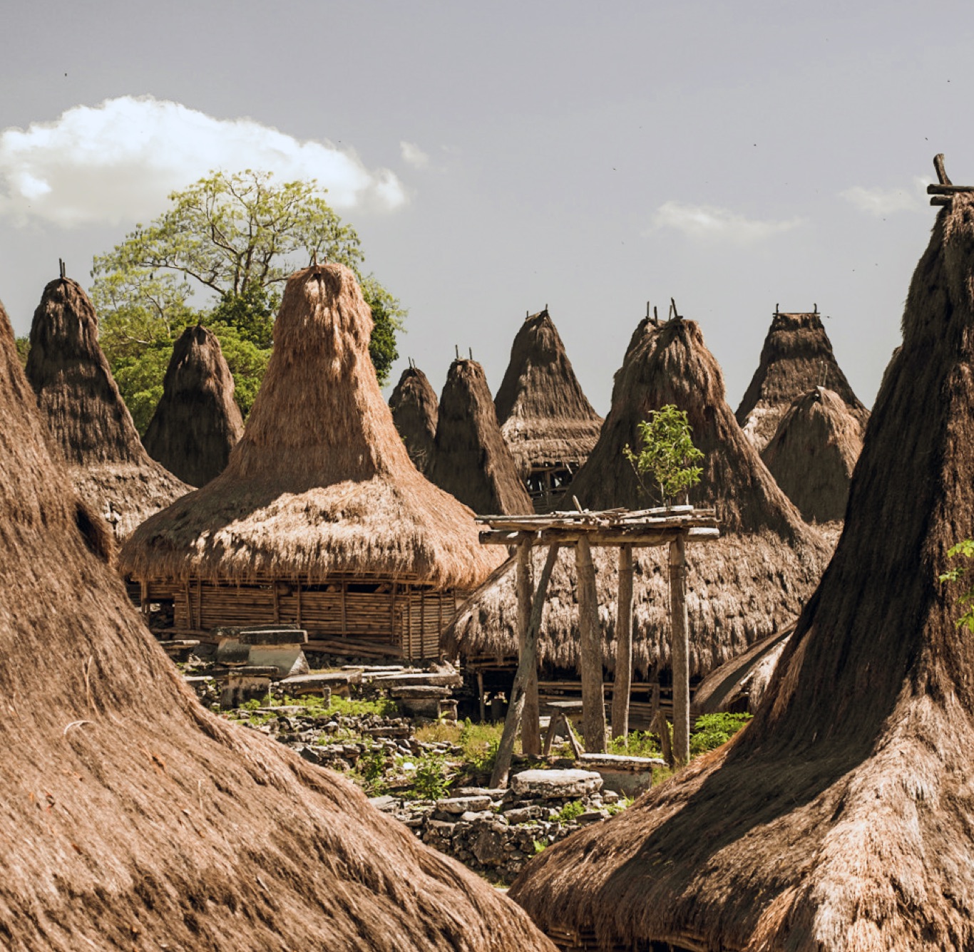 Ate Dalo Boutique & Luxury Hotels | Design Hotels™ - Design Hotels™