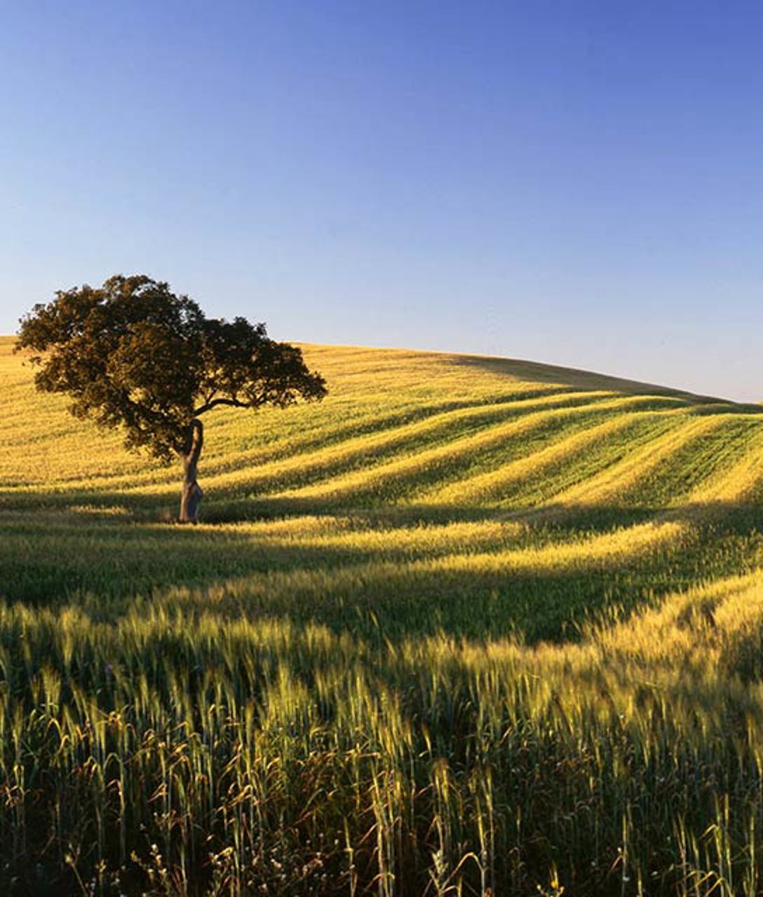 Best Boutique & Luxury Hotels Monforte (2026) - Design Hotels™