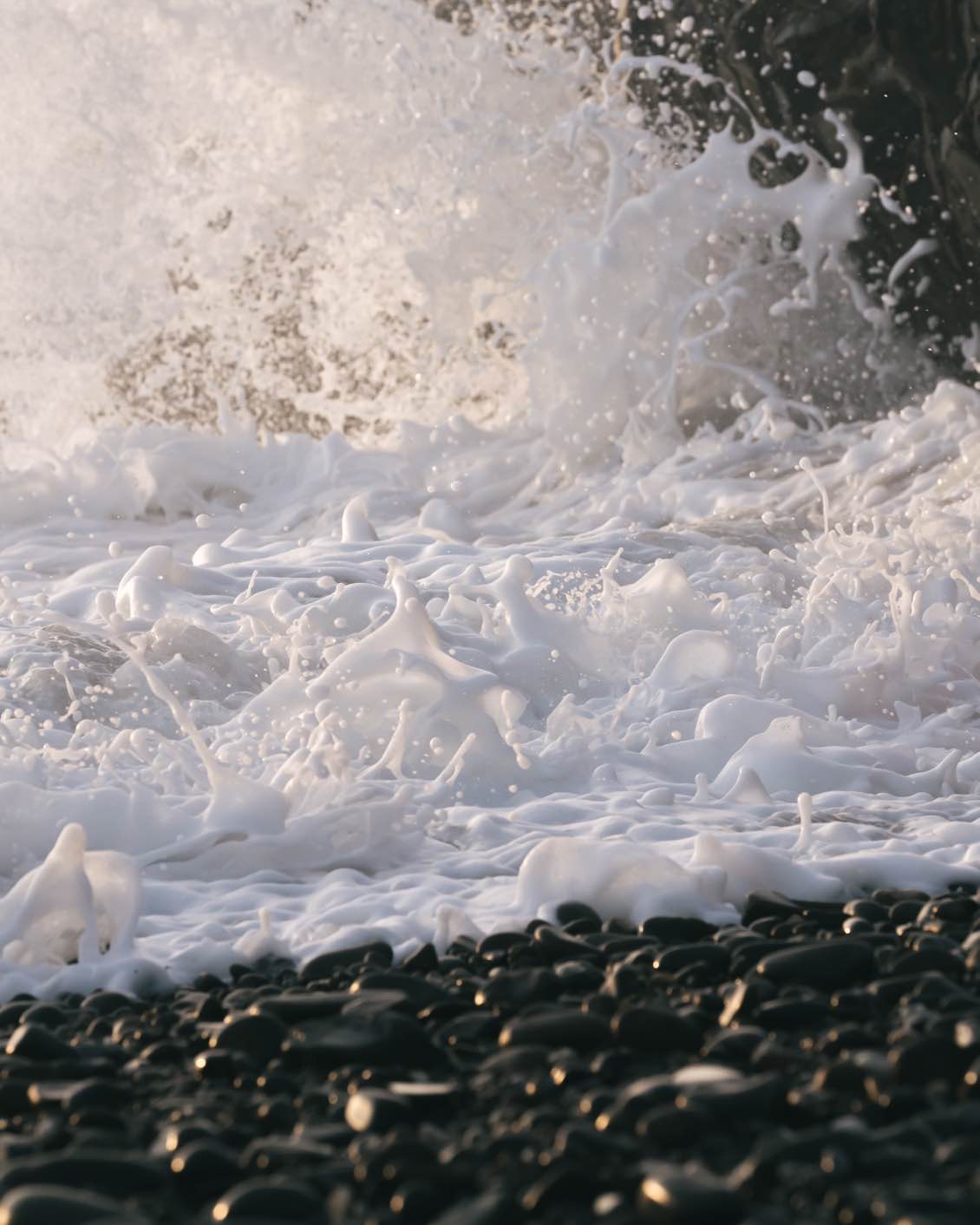 Will Biomaterials Build Our Future? - Design Hotels™