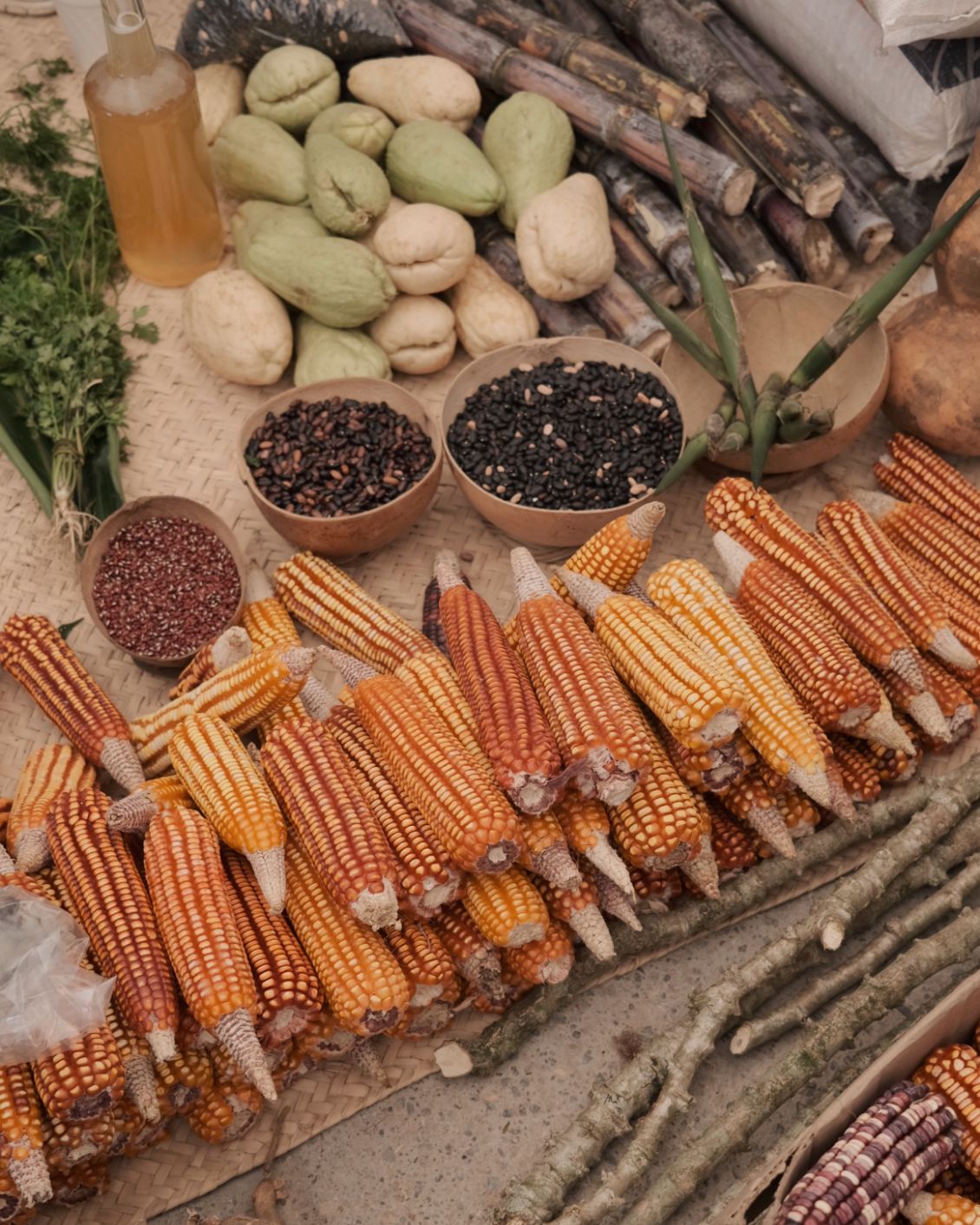 From city to coast, culture to nature—a love letter to Oaxaca - Design ...