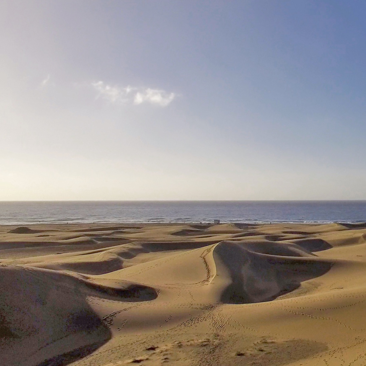 Our Conscious Eye On — Bohemia Suites & Spa - Design Hotels™