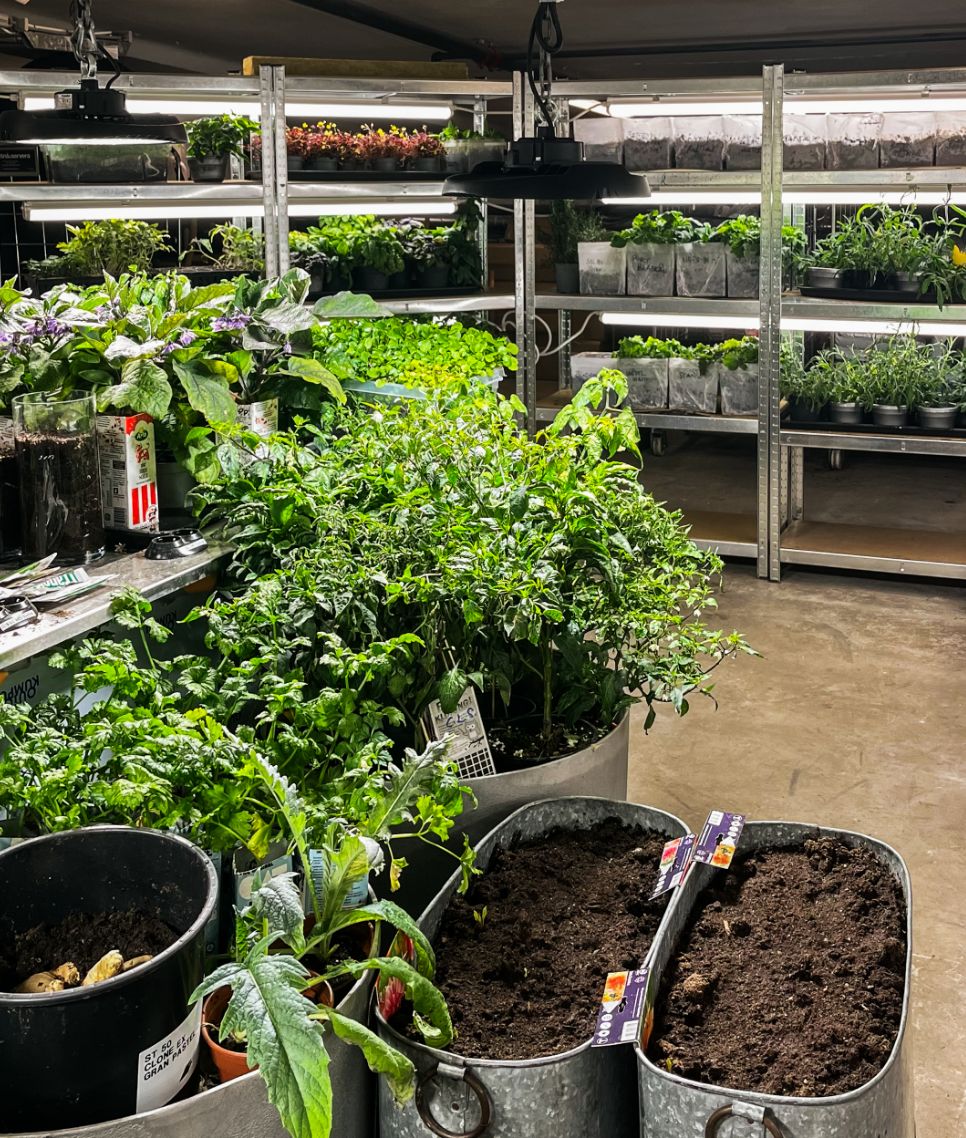 This City Farmer Says You Can Grow Your Own Food - Design Hotels™