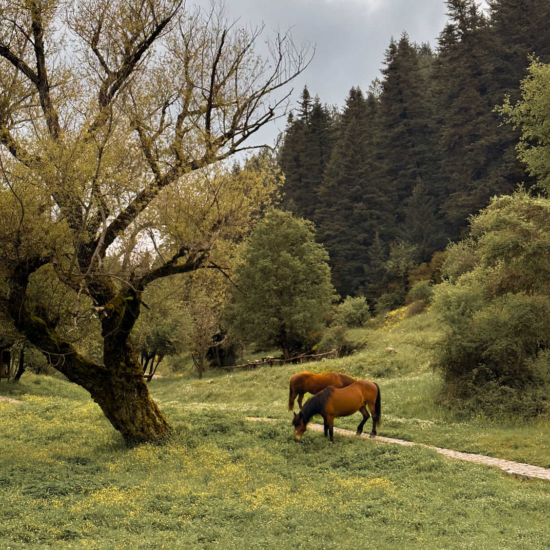 Manna (Arcadia, Greece) | Design Hotels™ - Design Hotels™